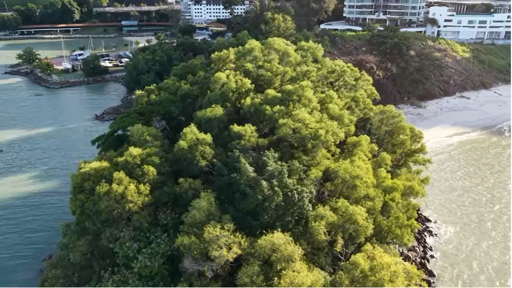 Protecting Penang’s Coastal Heritage: Residents Rise Against ...